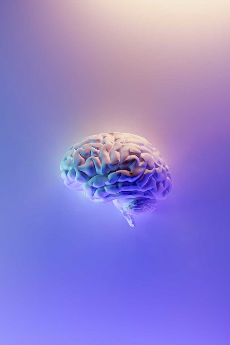 Brain - Your Marvellous Brain - Discover Hope Channel